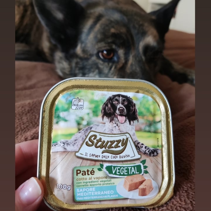 Stuzzy Reviews | abillion