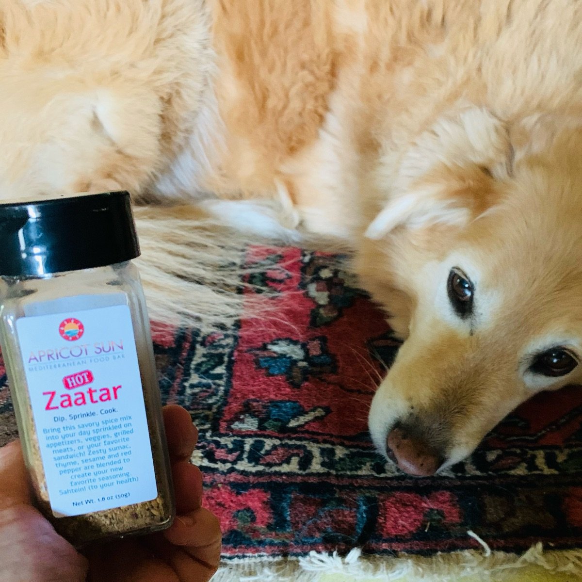 Hot Zaatar from Apricot Sun - Vegan Product Reviews & Ratings | abillion