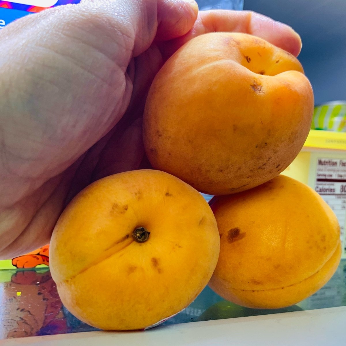 Bloomingfoods Market & Deli Apricots Reviews | abillion