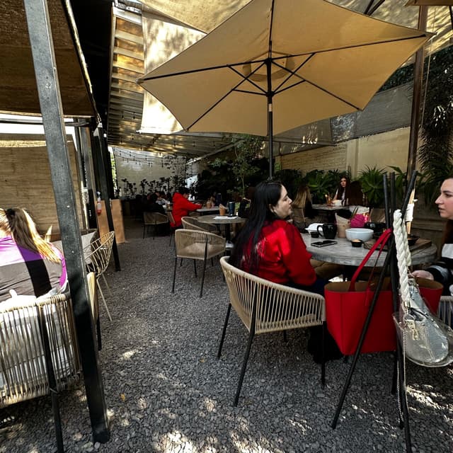Jugo Verde at Sanopecado - Vegan Dish Reviews & Ratings | abillion