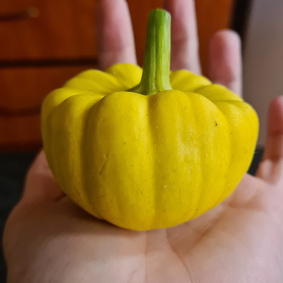 Jack-be-Little Squash from AloeDale Farm - Vegan Product Reviews ...