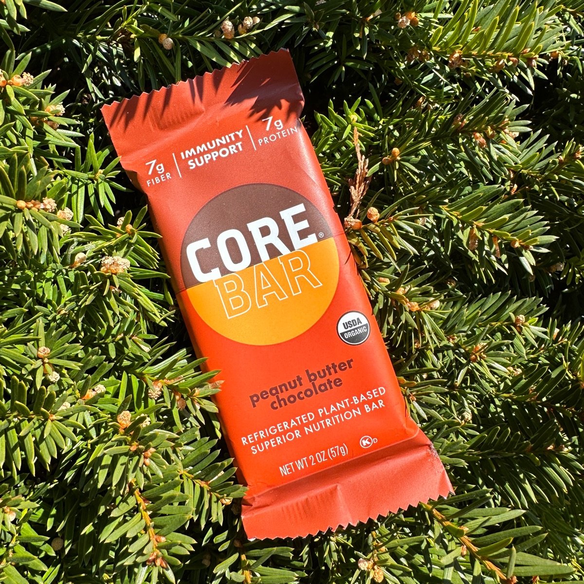 peanut butter chocolate REFRIGERATED PLANT-BASED SUPERIOR NUTRITION BAR ...