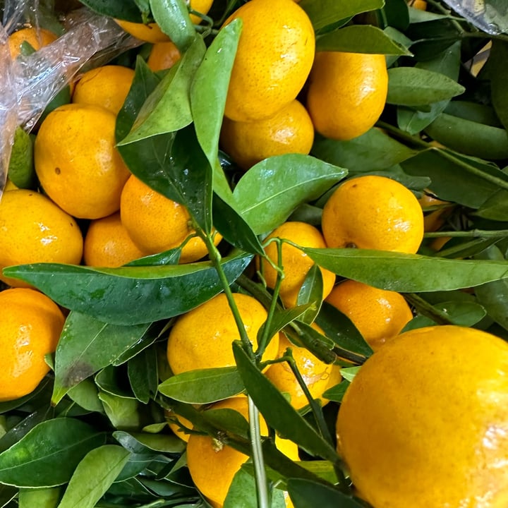 Lian hua chun fruits Mini Mandarin orange with leaves Review | abillion