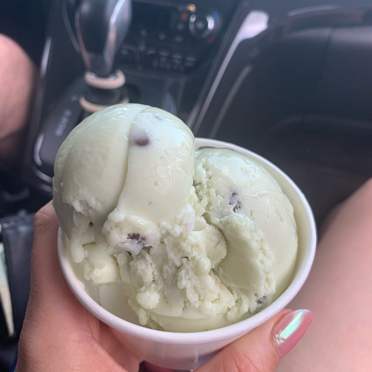 Minty Chip from Vegan Ice Cream Man - Vegan Product Reviews & Ratings ...