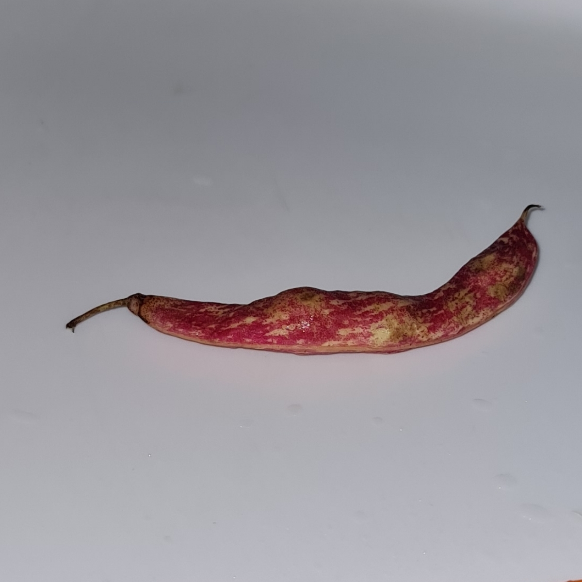 Pearl Bean from happy fresh - Vegan Product Reviews & Ratings | abillion