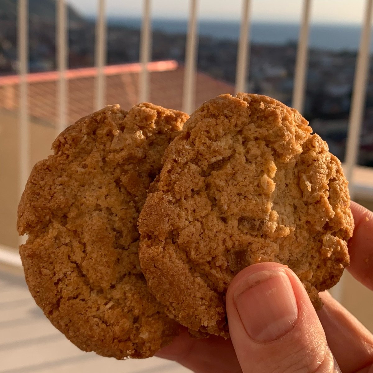 Free from gluten Ginger cookies from Sondey - Vegan Product Reviews ...