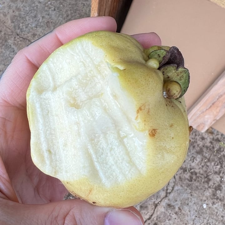 Sun Farm Hawaii Hawaii Kai, Honolulu, United States Fresh Pear Review ...