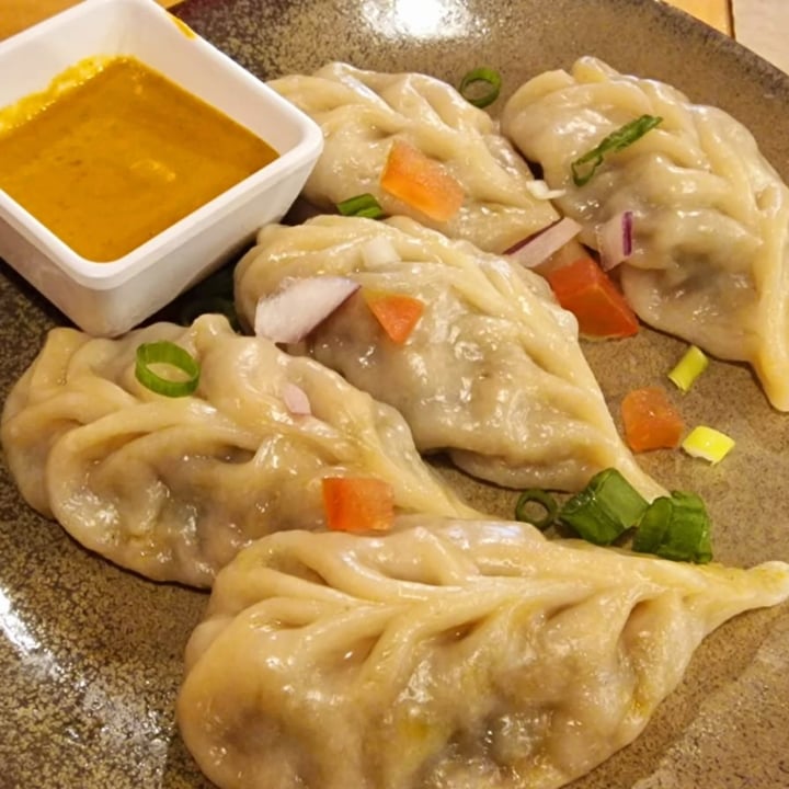Thamel Restaurant Porto, Portugal Momo Vegetariano Review | abillion