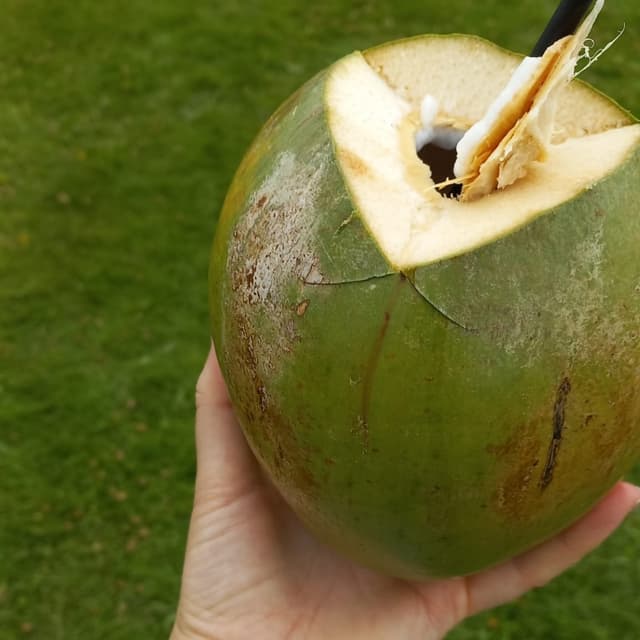 Fresh Coconut Water at OSU Coconuts (Mobile Street Vendor) - Review by ...