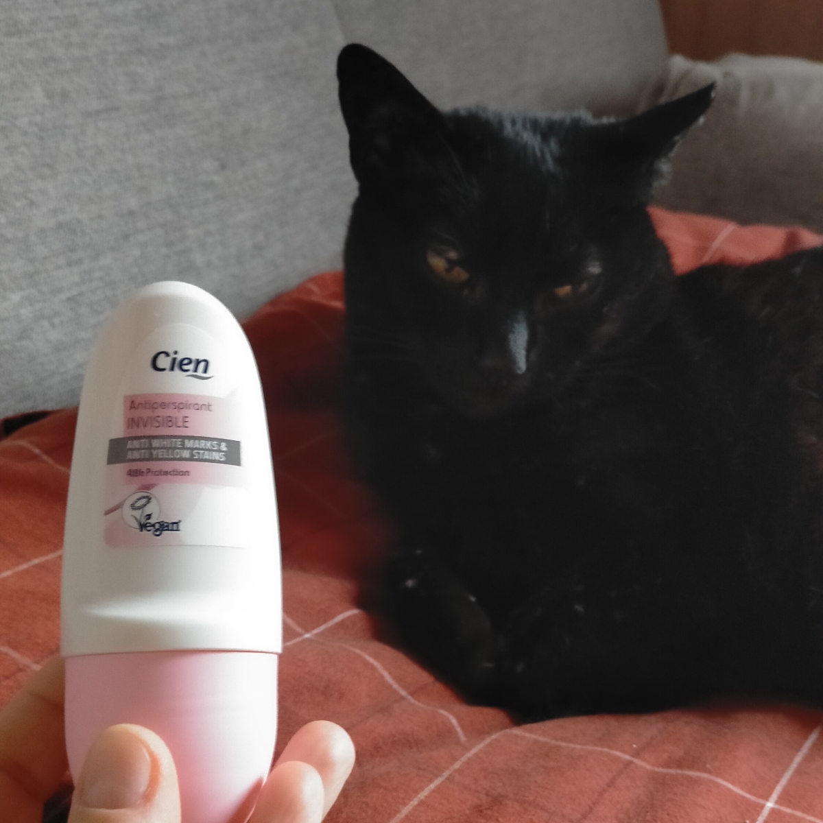 Cien antiperspirant comfort fresh roll-on 48h protection Reviews | abillion