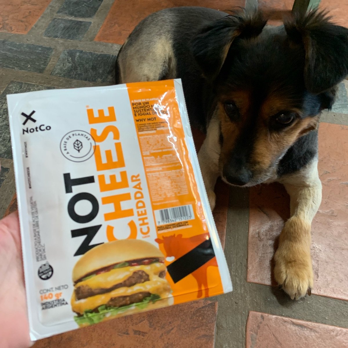 Not Cheese Cheddar from NotCo - Vegan Product Reviews & Ratings | abillion