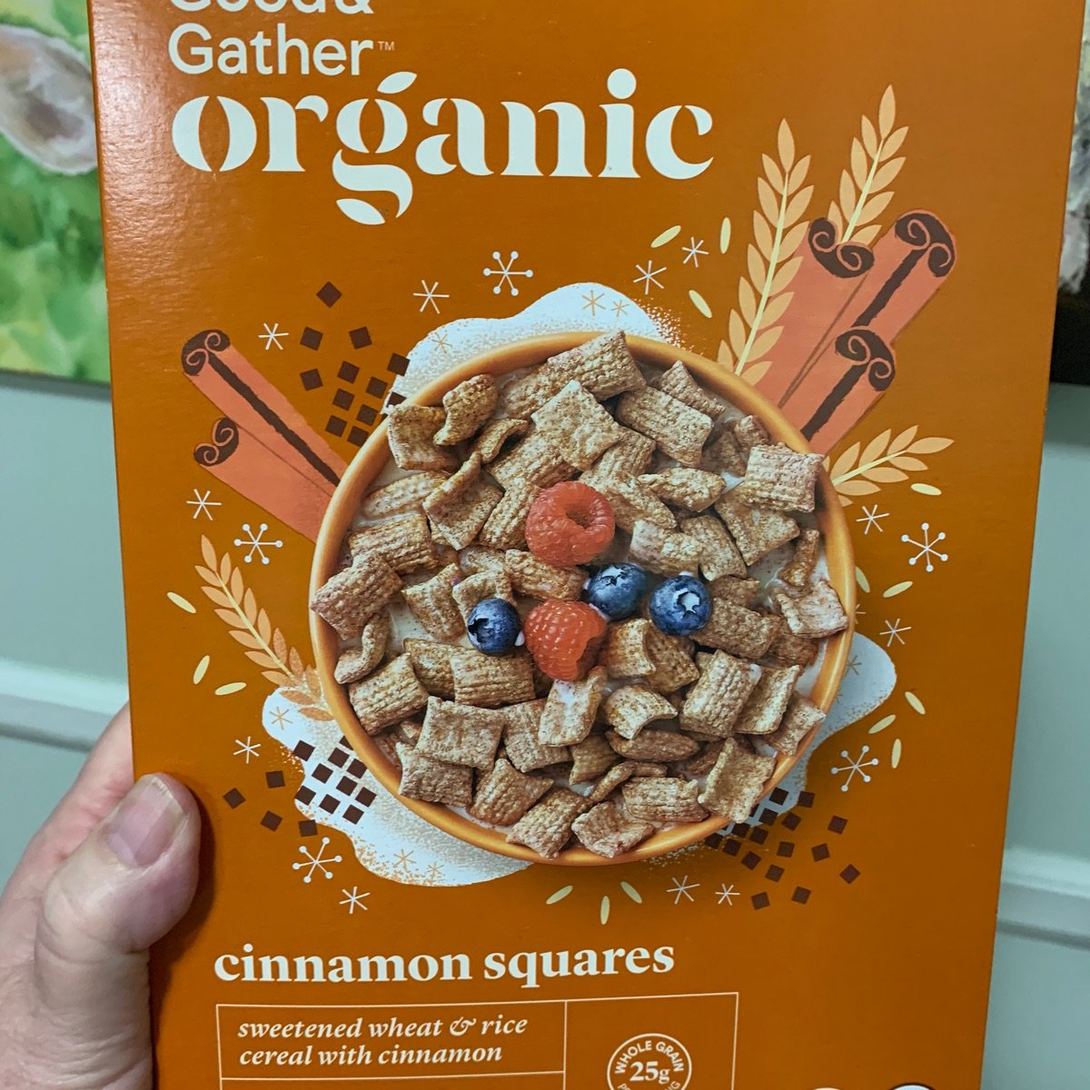 Cinnamon Squares from Good & Gather - Vegan Product Reviews & Ratings ...