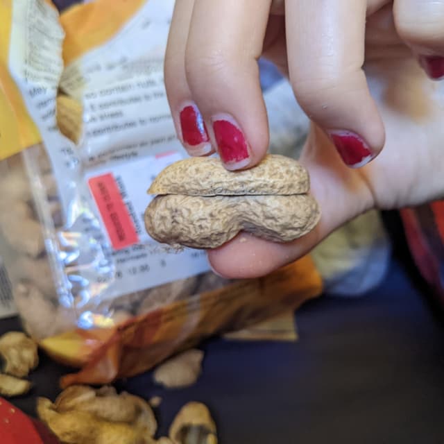 Roasted Monkey Nuts from Holland & Barrett - Vegan Product Reviews ...