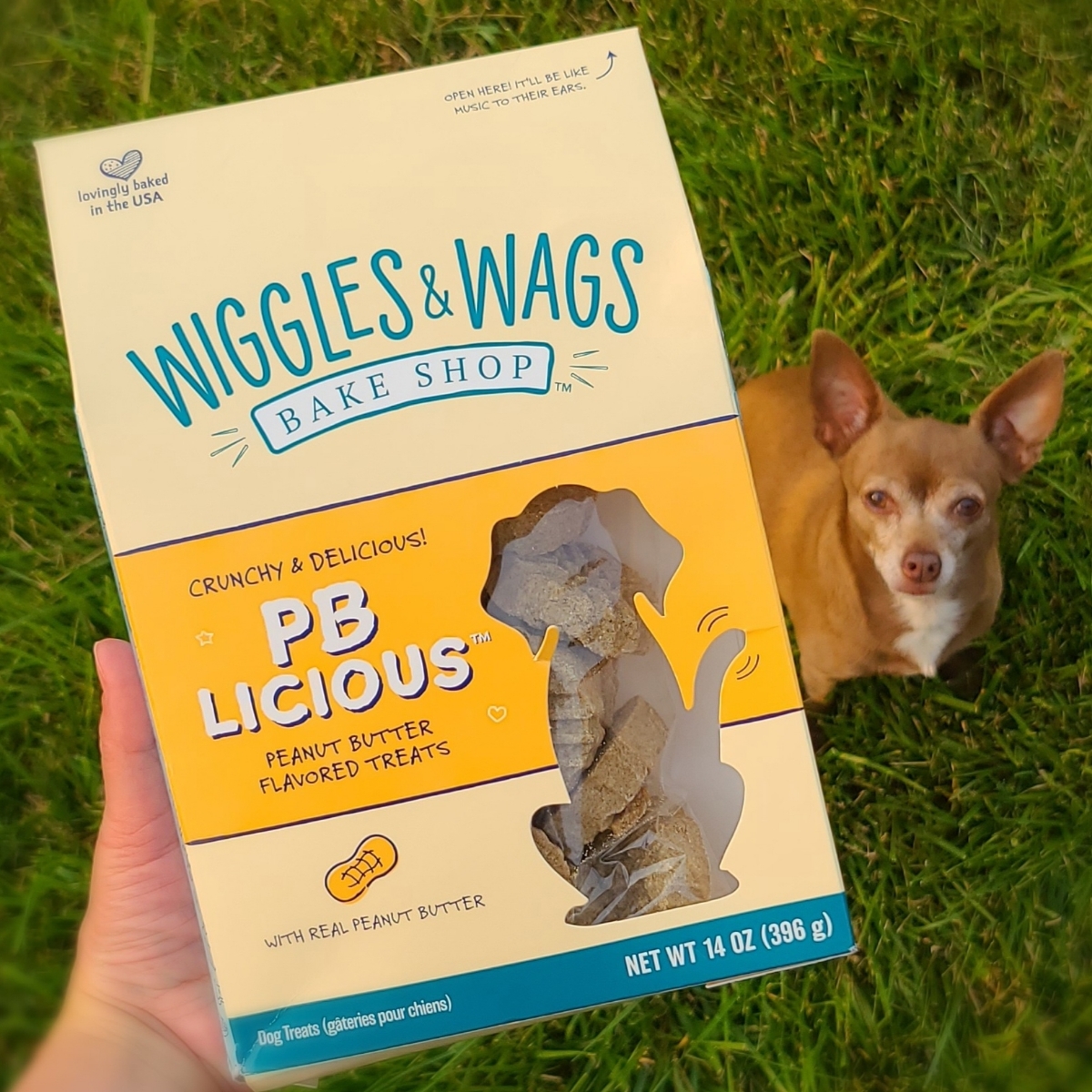 PB Licious Peanut Butter Dog Treats from Wiggles & Wags Bake Shop ...