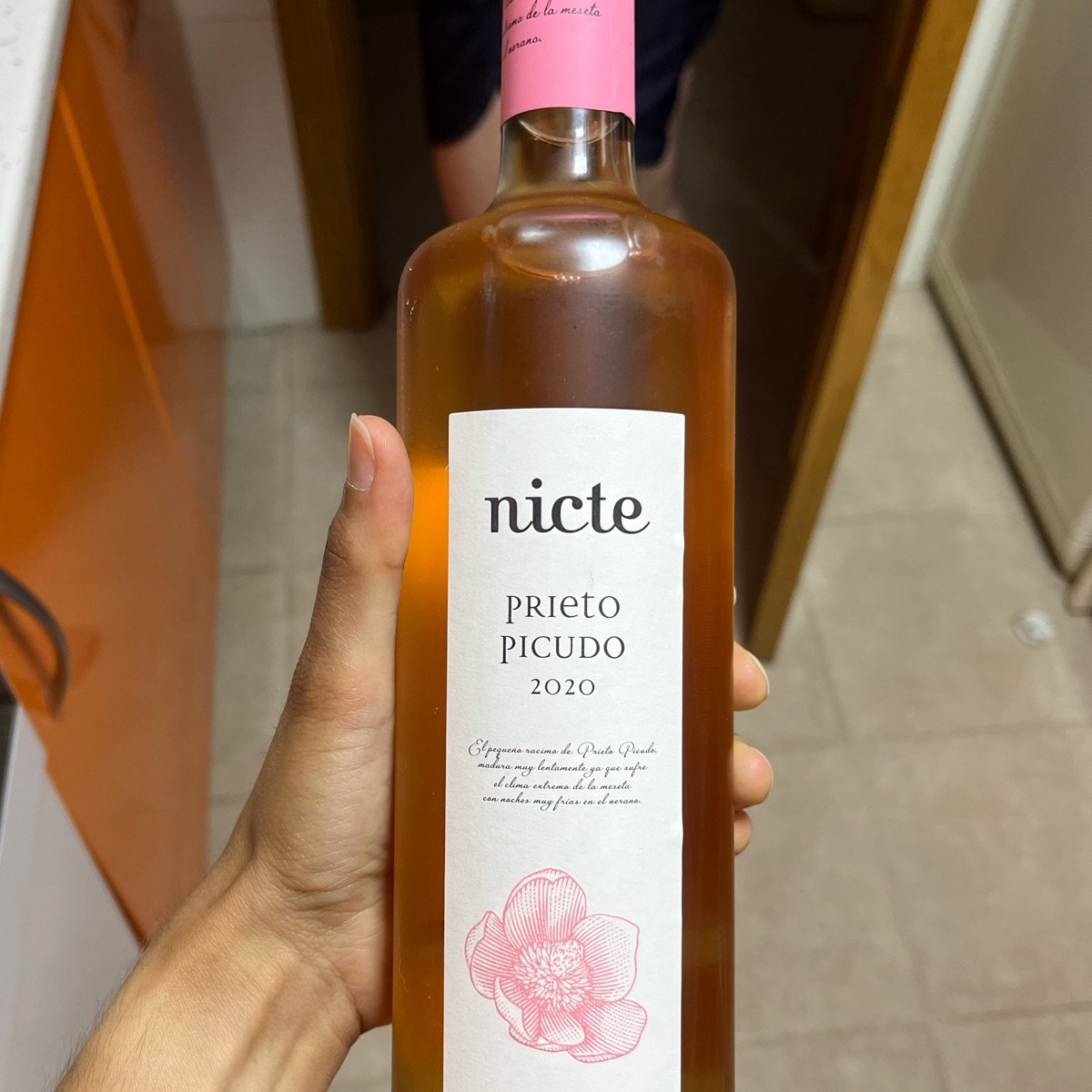 Nicte Vino Prieto Picudo Reviews | abillion