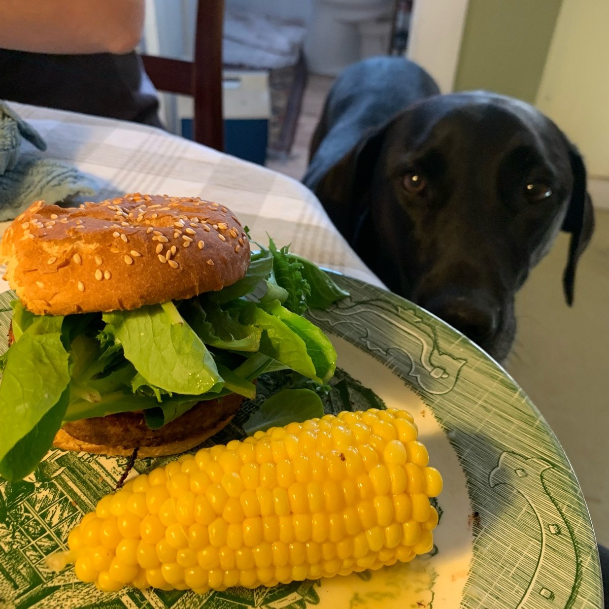 Bloomingfoods Market & Deli Fresh Corn Reviews | abillion