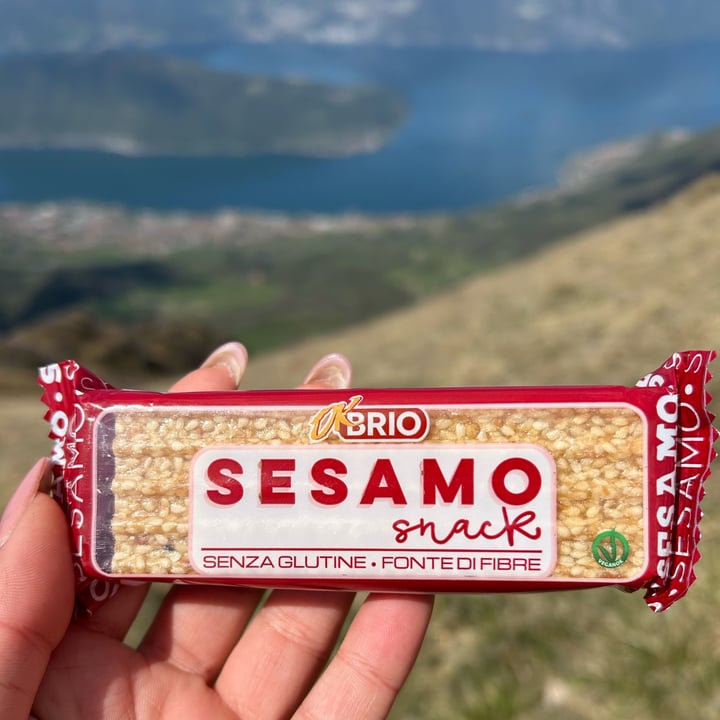 Ok BRIO Sesamo Snack Review | abillion