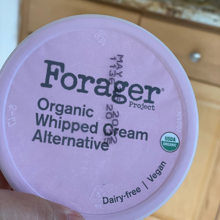 Forager Project Whipped Cream Alternative Review | abillion
