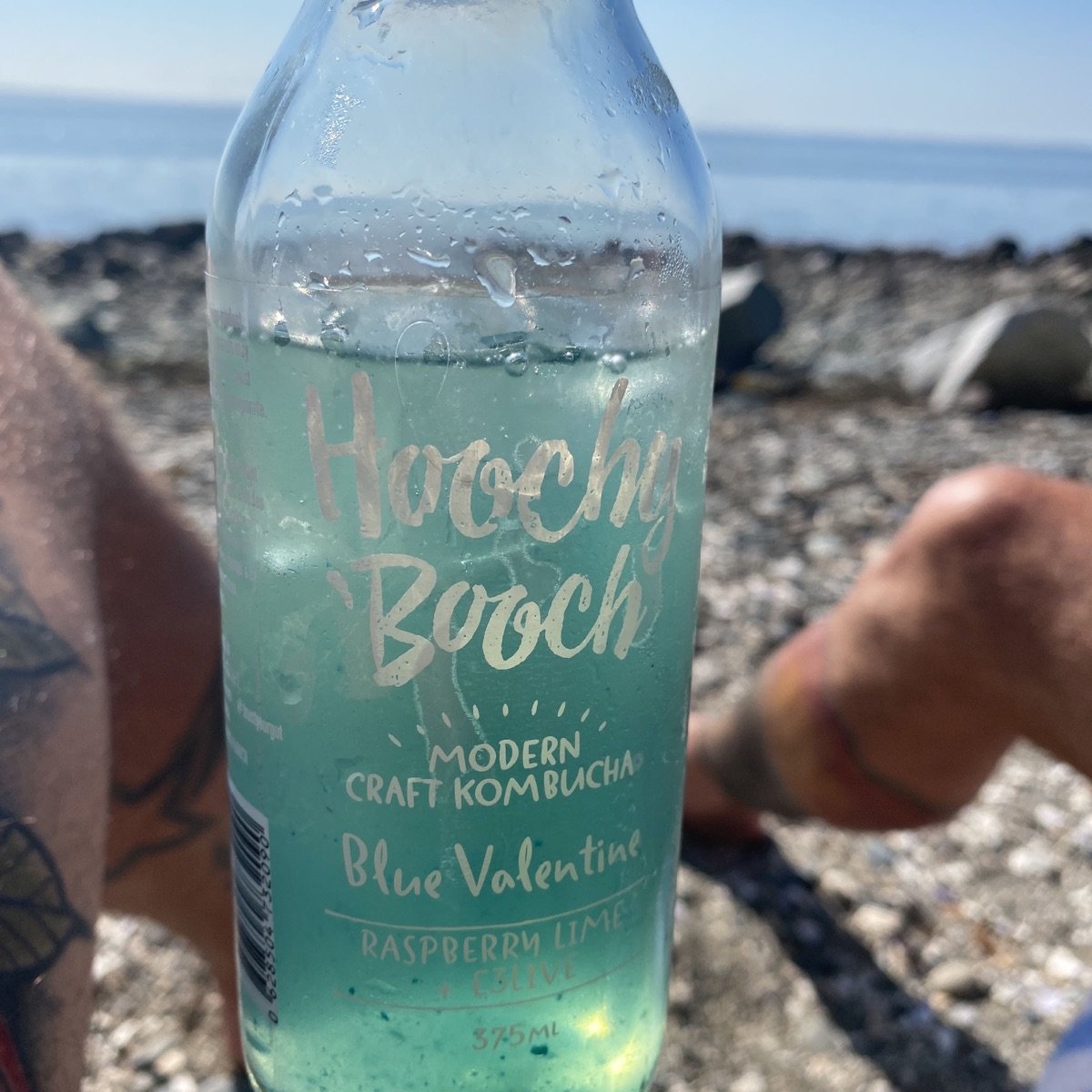 Blue Valentine Kombucha from Hoochy booch - Vegan Product Reviews ...