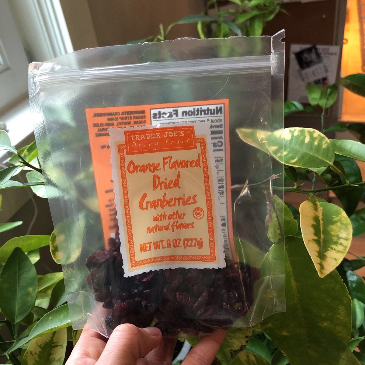 Orange Flavored Dried Cranberries from Trader Joe's - Vegan Product ...