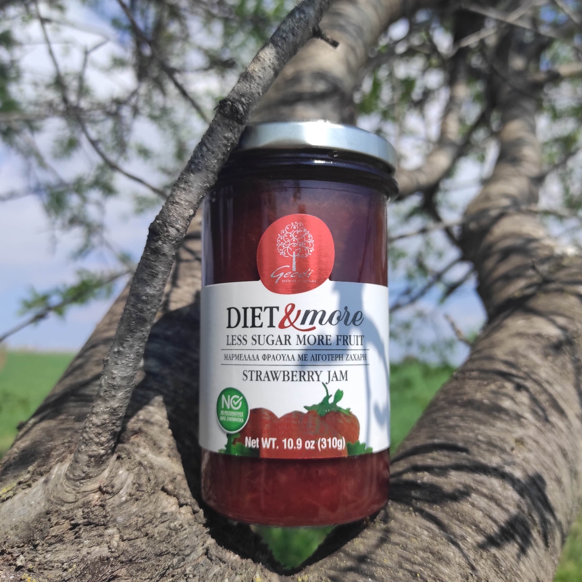 Diet & more - Strawberry Jam from Geodi - Vegan Product Reviews ...