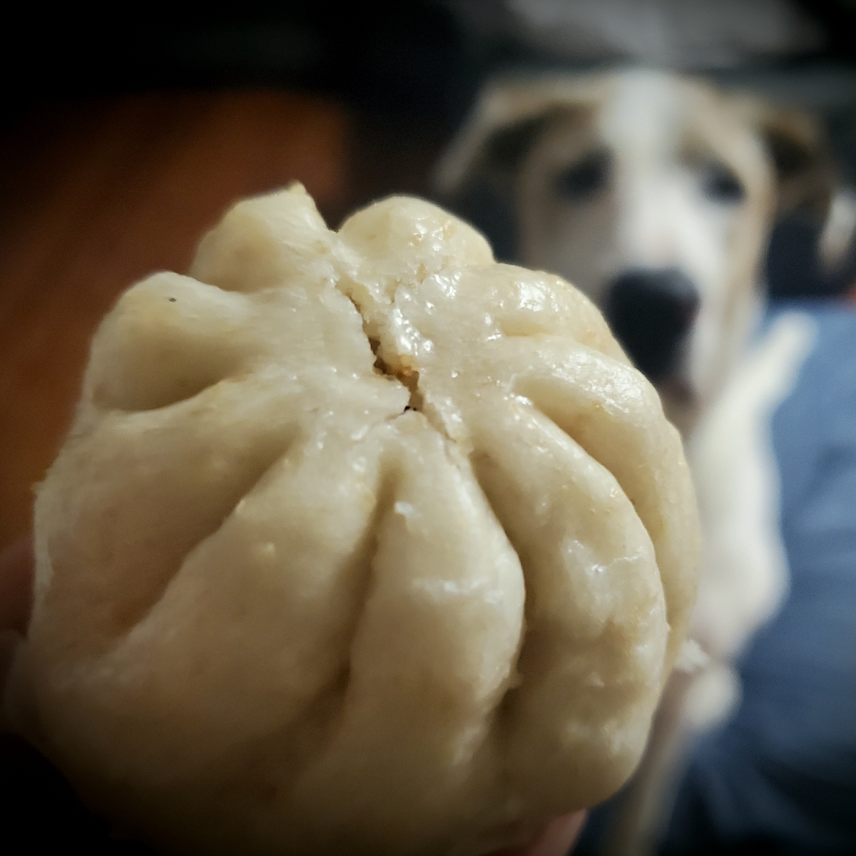 Plant based Barbecue pork buns from Pam pam - Vegan Product Reviews ...