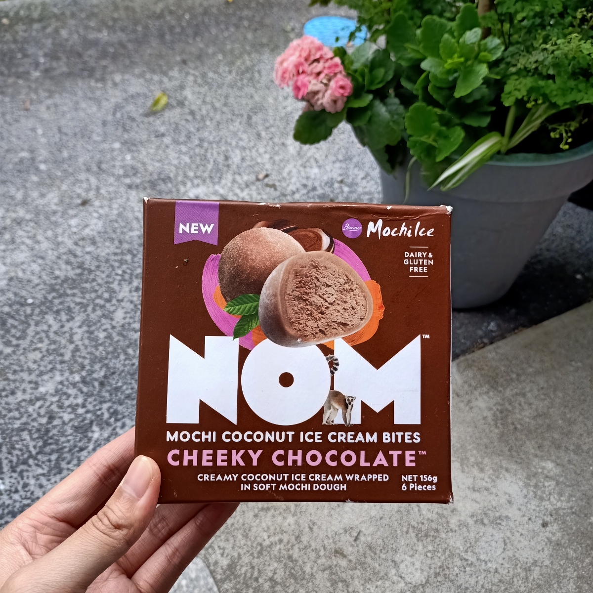 Mochi Coconut Ice Cream Bites Cheeky Chocolate from NOM - Vegan Product ...