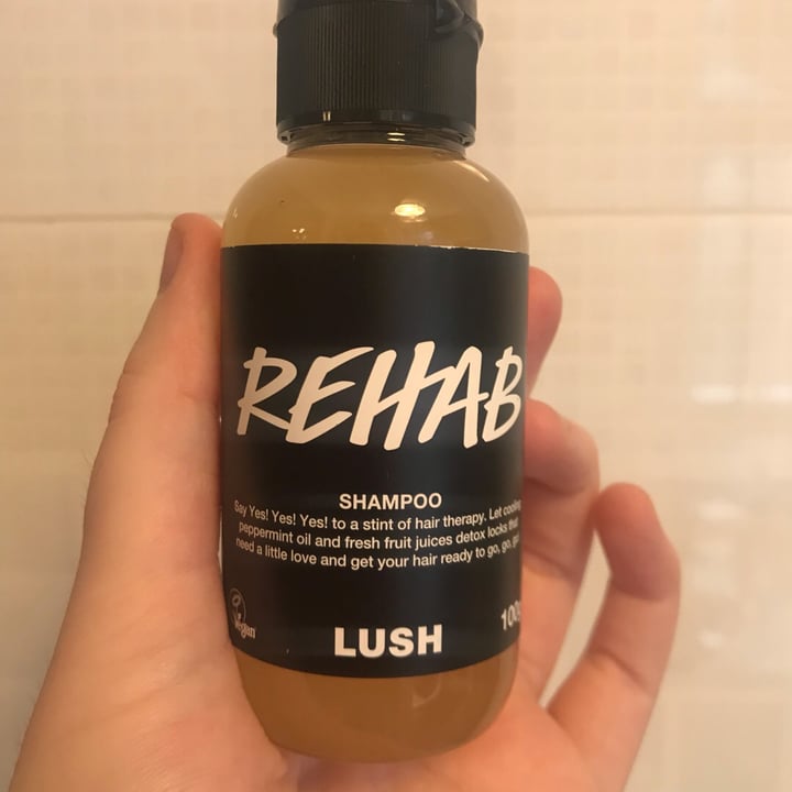 LUSH Fresh Handmade Cosmetics Rehab Shampoo Review | abillion