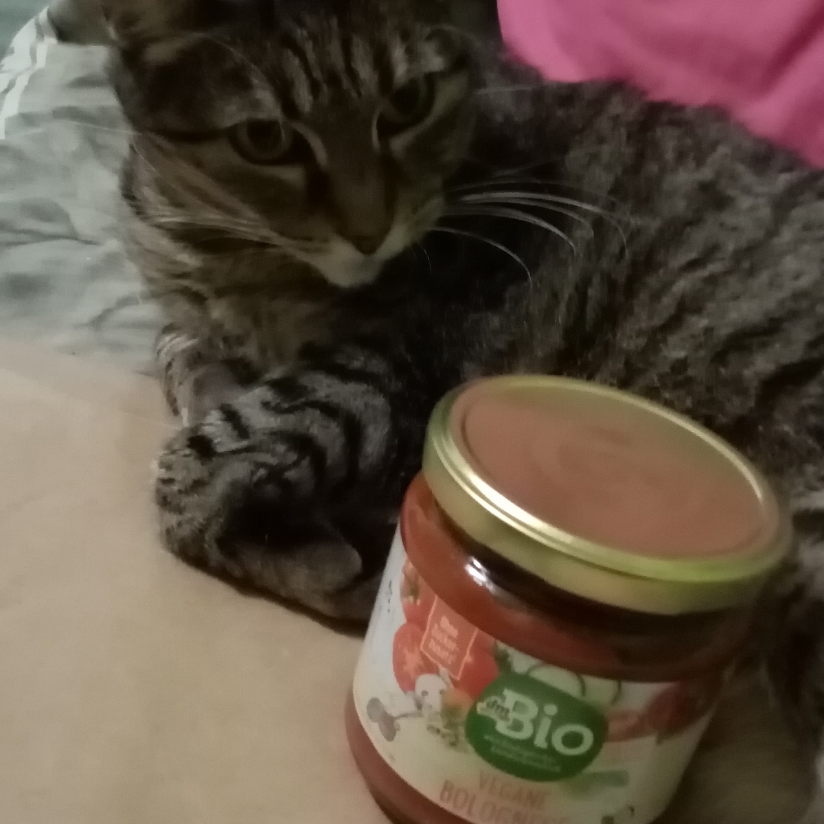 vegan bolognese from Dm - Vegan Product Reviews & Ratings | abillion