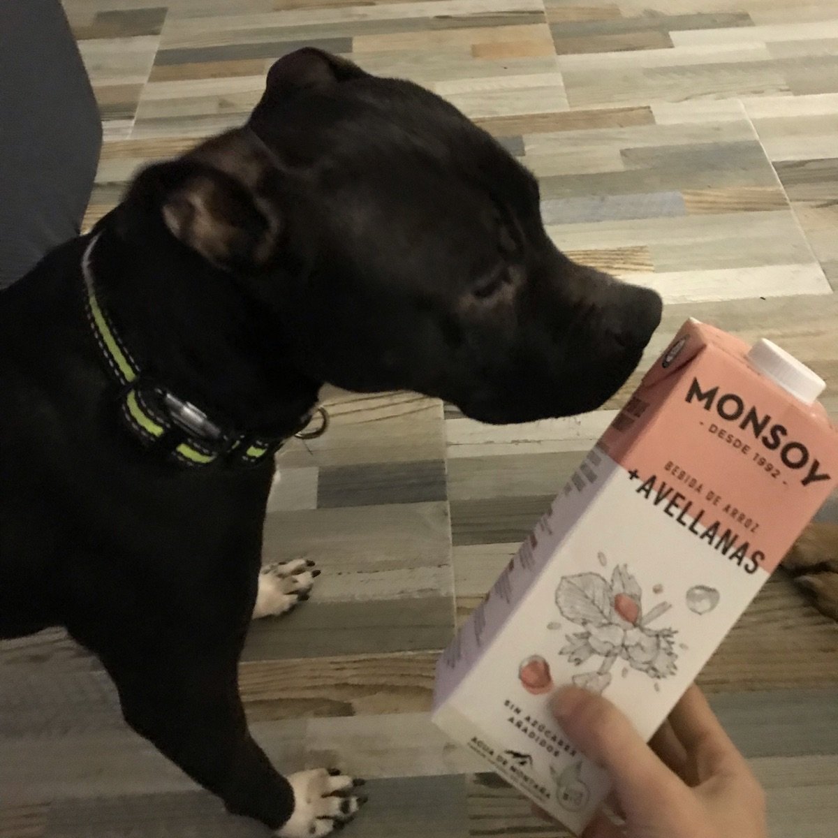 Monsoy - Bebida de Avellanas Review | abillion