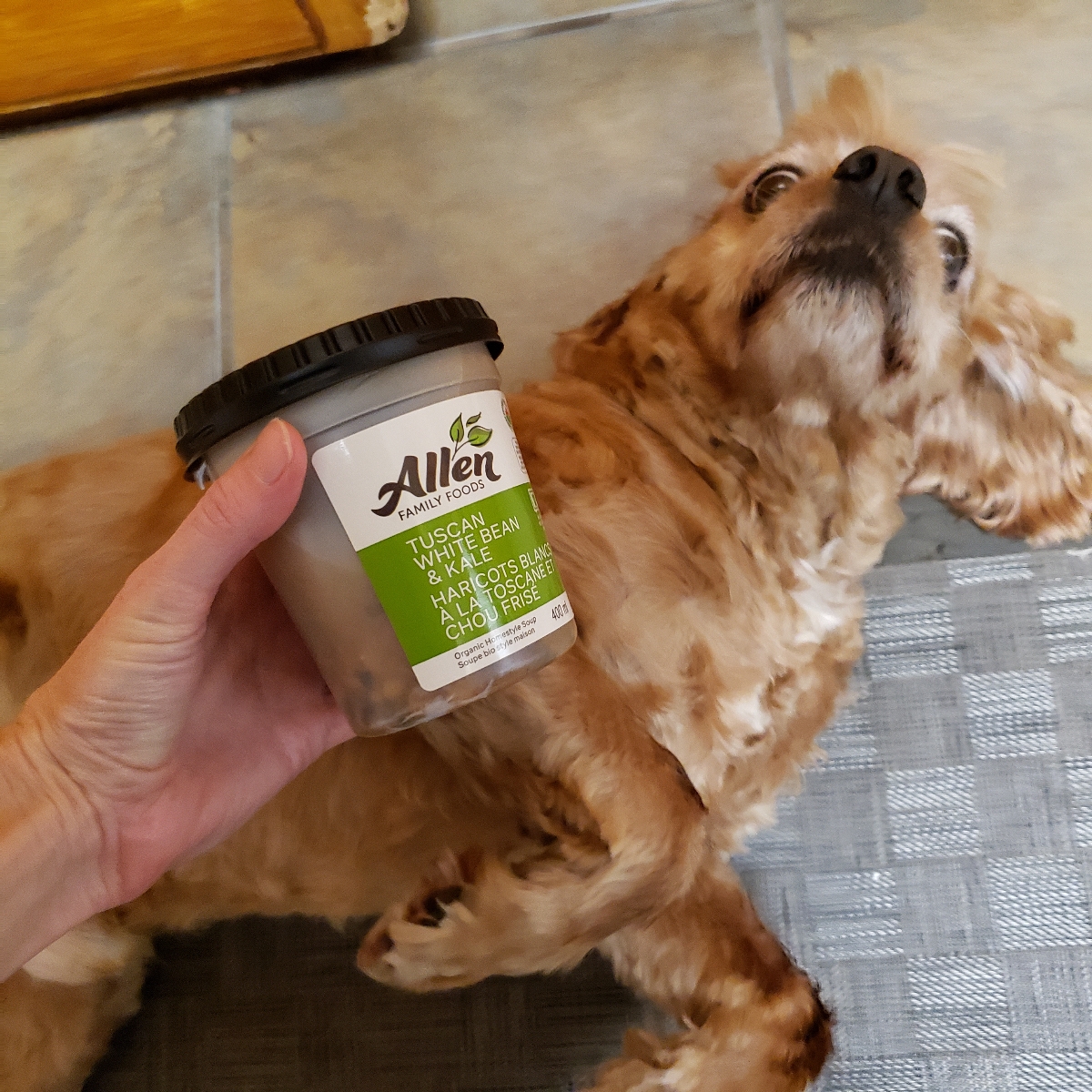 Tuscan White Bean & Kale Soup from Allen Family Foods - Vegan Product ...