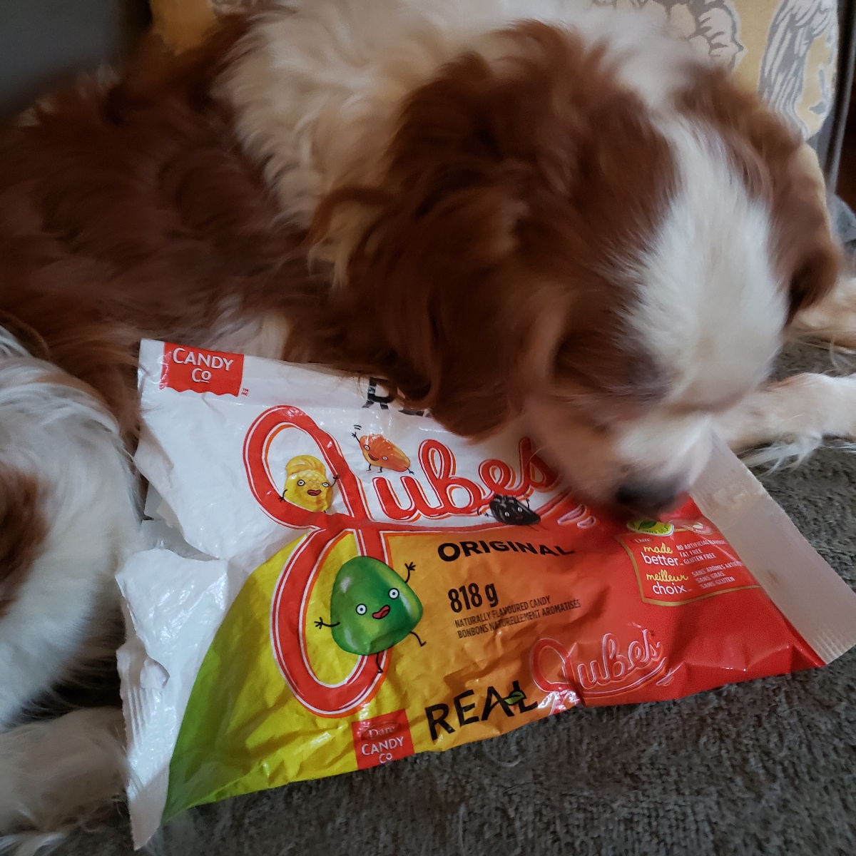 Real Jubes from Dare - Vegan Product Reviews & Ratings | abillion