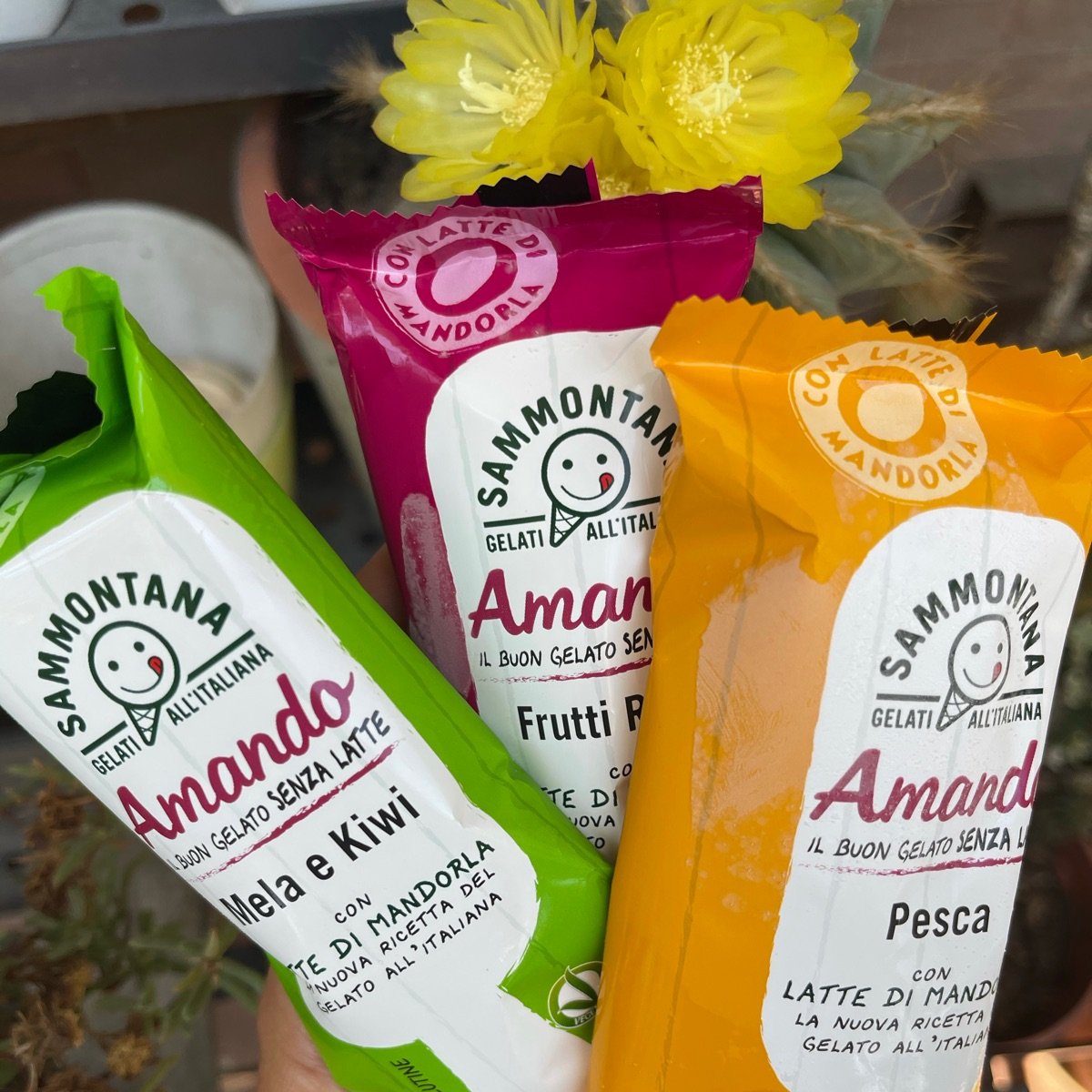 Sammontana Amando Sammontana Gelati Alla Frutta Reviews | abillion