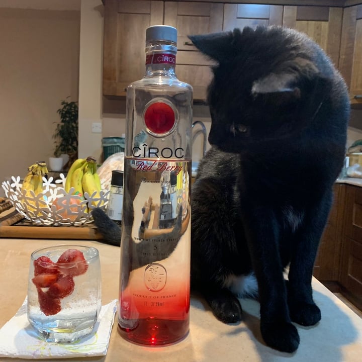 Cîroc Ciroc Red Berry Review | abillion