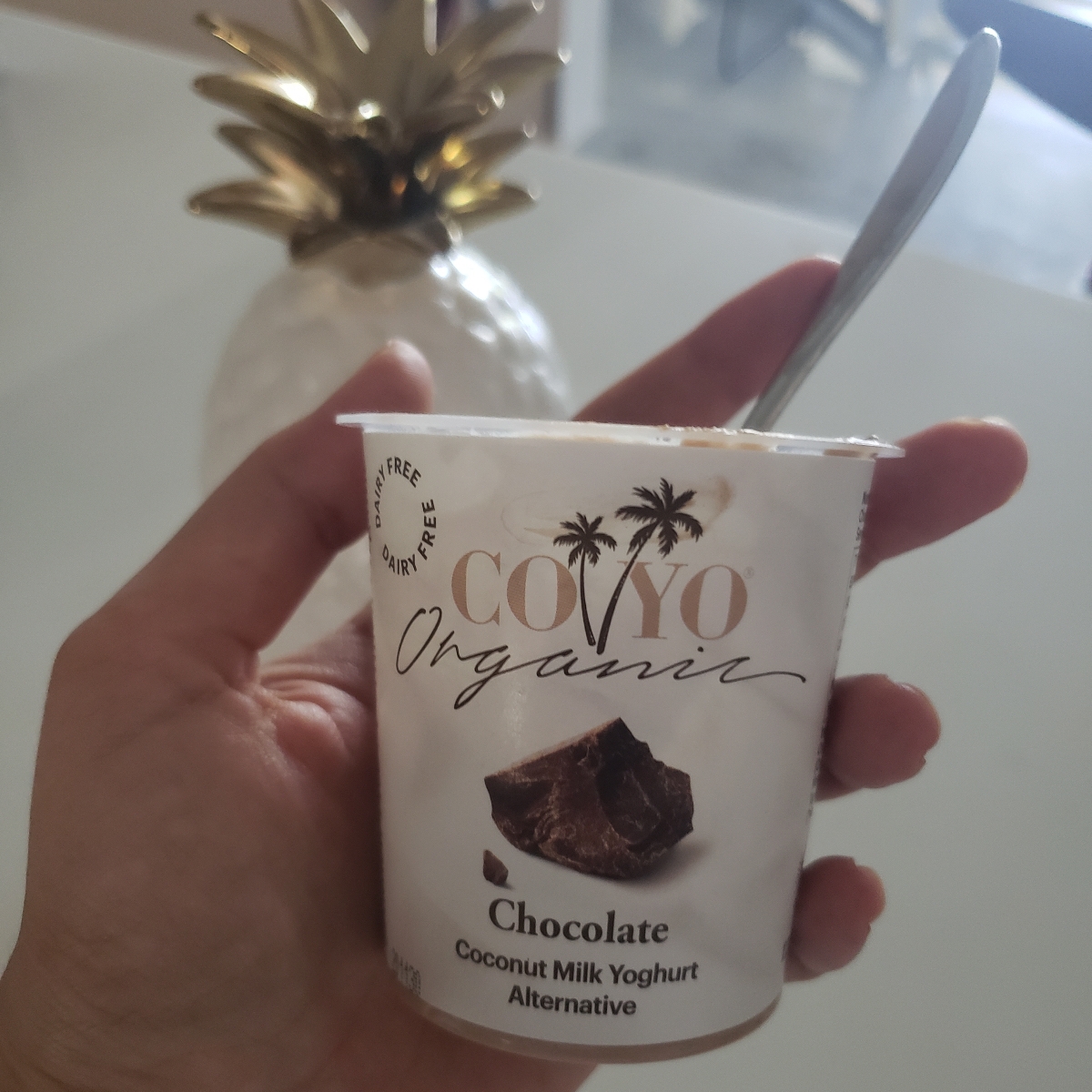Chocolate yoghurt from Cocoyo - Vegan Product Reviews & Ratings | abillion
