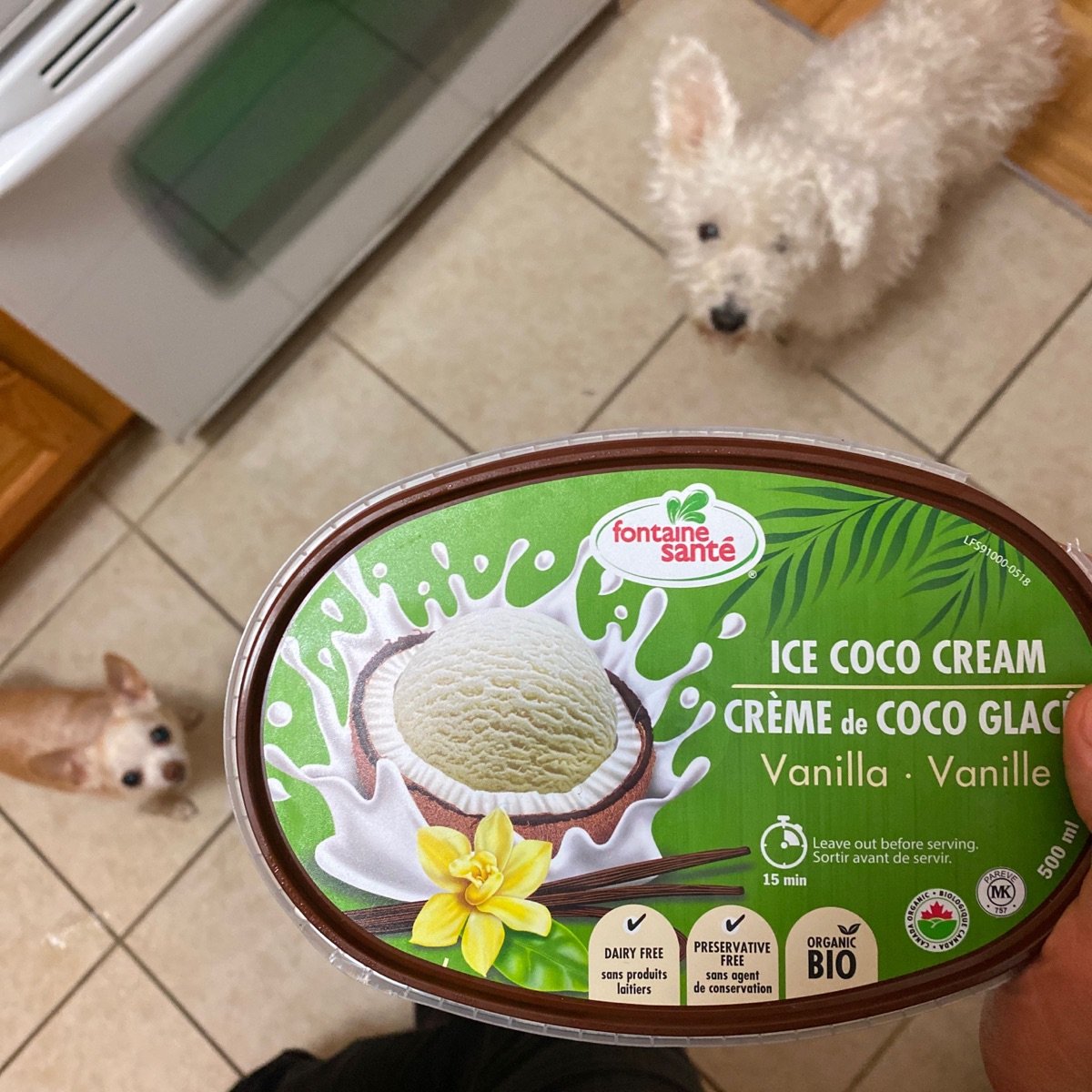 Ice Coco Cream from Fontaine Santé - Vegan Product Reviews & Ratings ...
