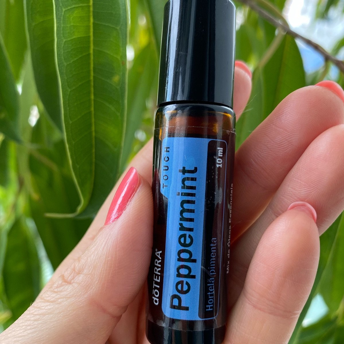 dōTERRA Peppermint touch Reviews | abillion