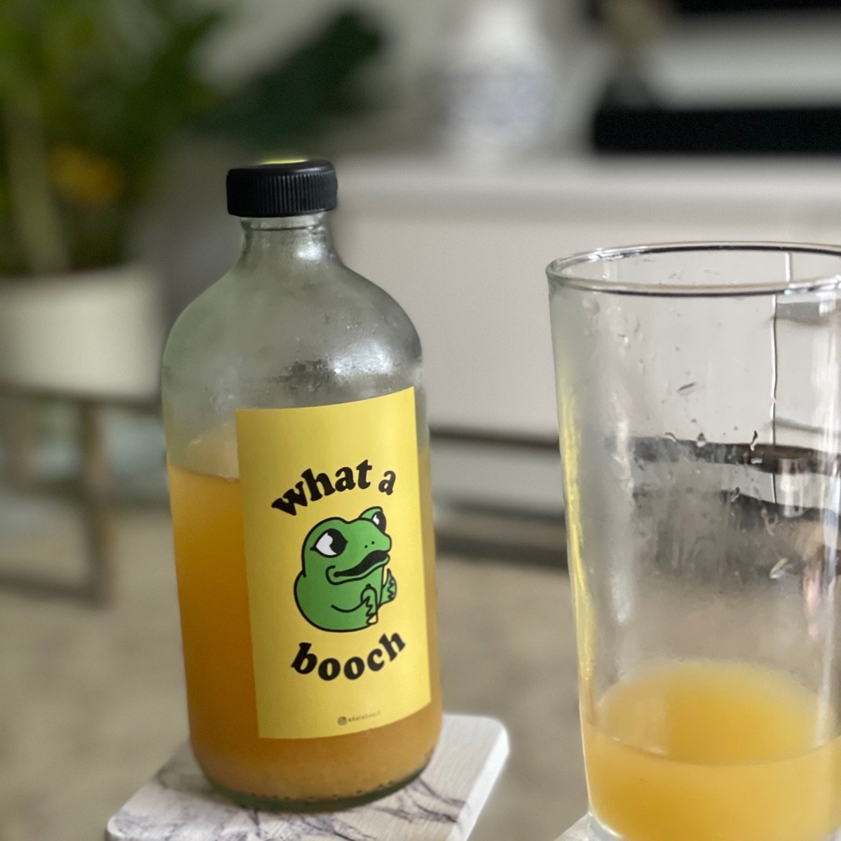 Kombucha from What a booch - Vegan Product Reviews & Ratings | abillion