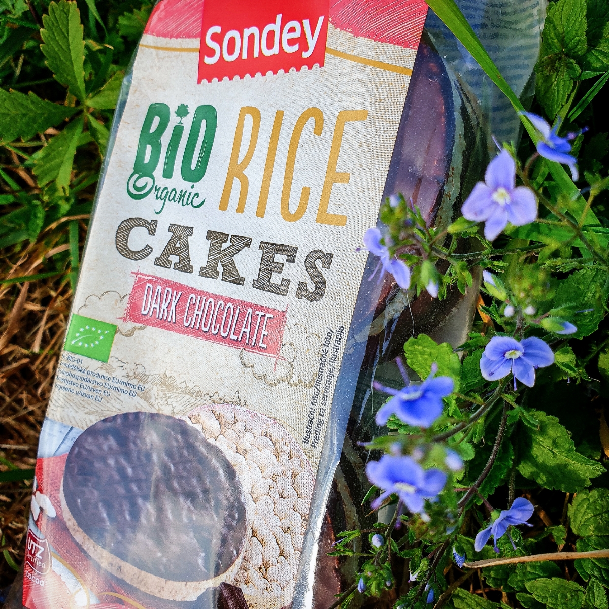 Organic Rice Cakes - Dark Chocolate from Sodney - Vegan Product Reviews ...