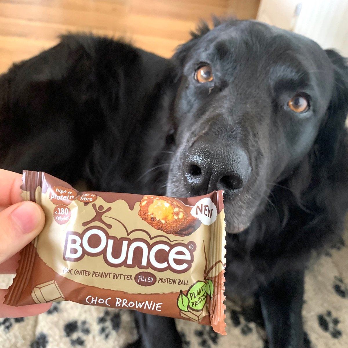 Choc brownie from Bounce Foods Ltd - Vegan Product Reviews & Ratings ...