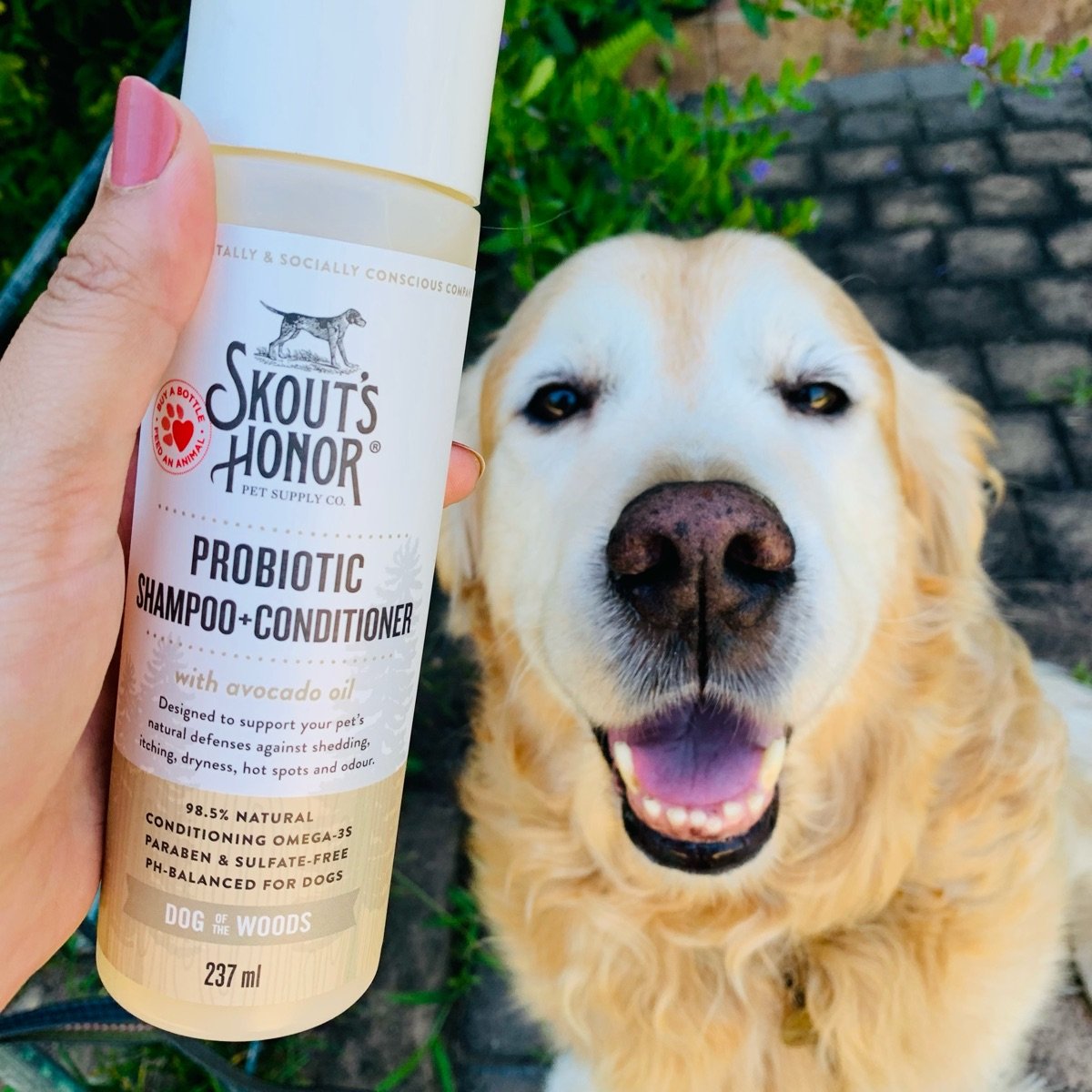 Probiotic Shampoo- Conditioner from Scouts Honor - Vegan Product ...