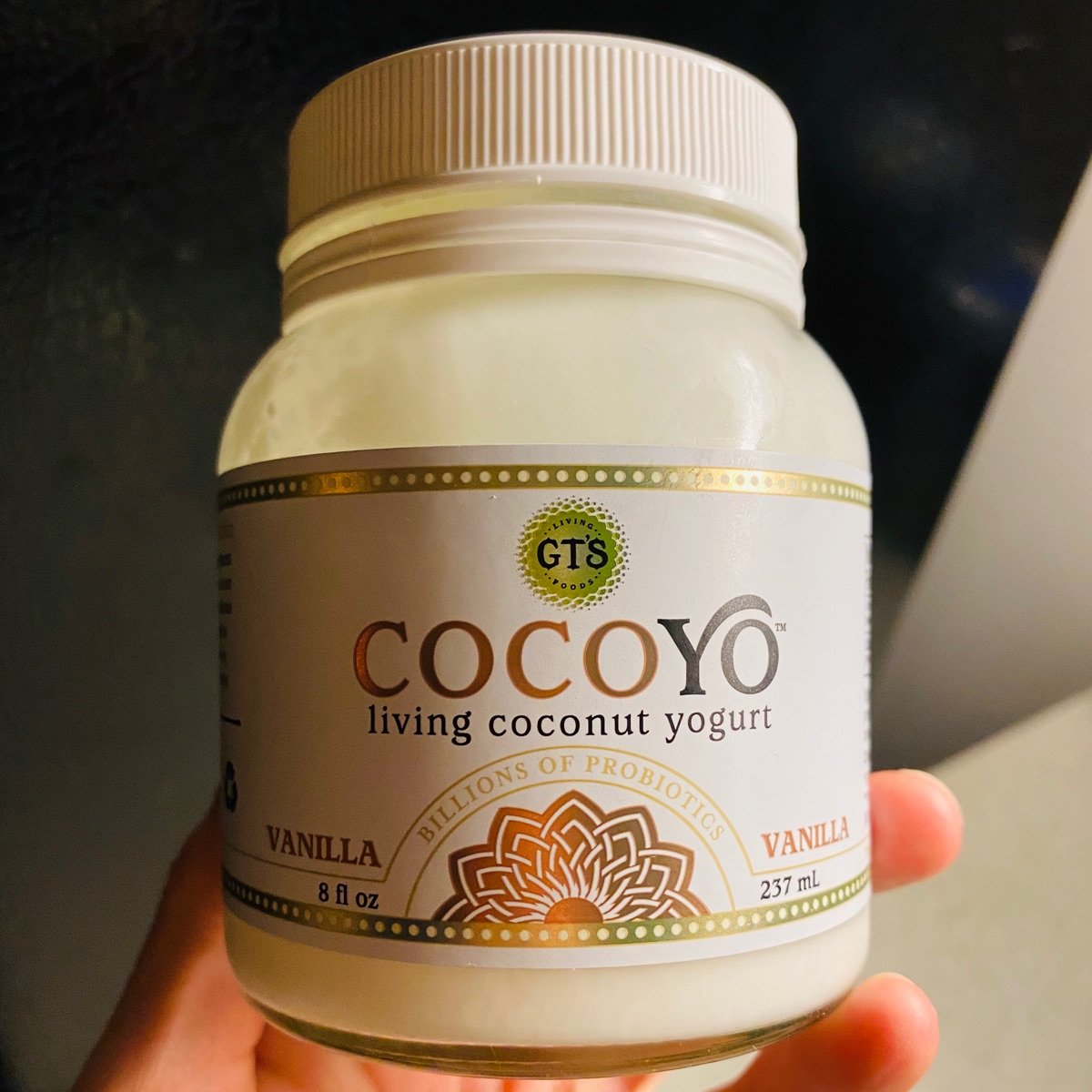 Cocoyo Vanilla Yogurt from GT’s Living Foods - Vegan Product Reviews ...