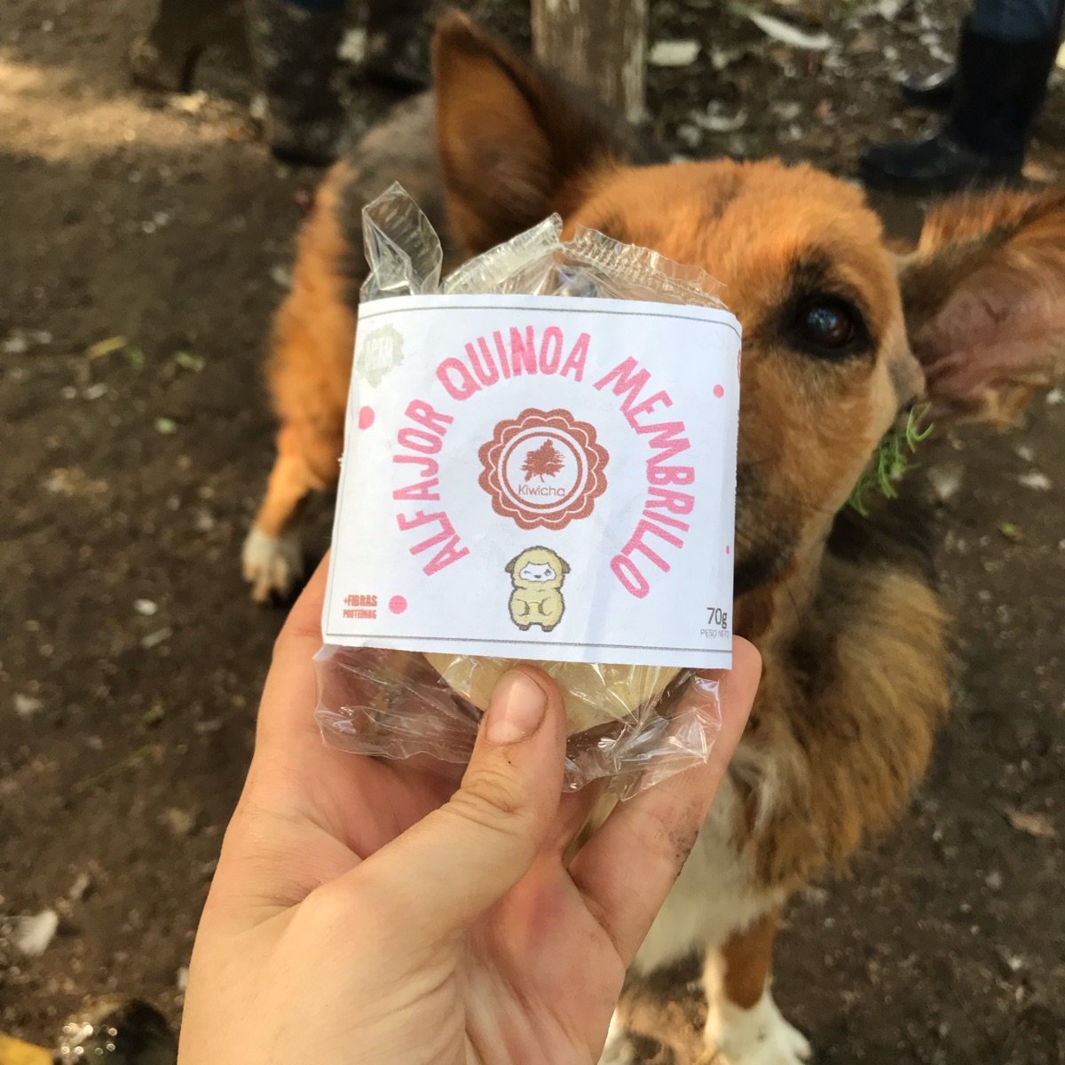 Alfajor de Quinoa y Membrillo from Kiwicha - Vegan Product Reviews ...