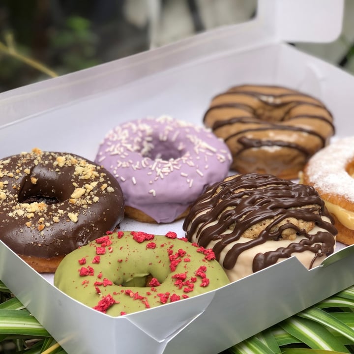 Donut Disturb Dona Chips de Chocolate Review | abillion