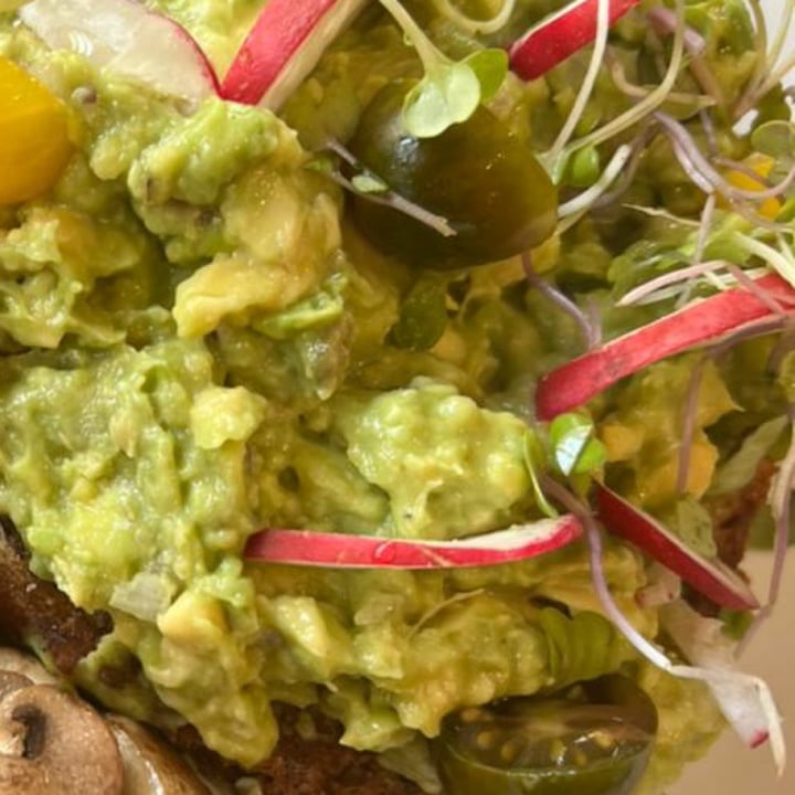 Doppio Zero Fourways, South Africa Smashed Avo Review | abillion