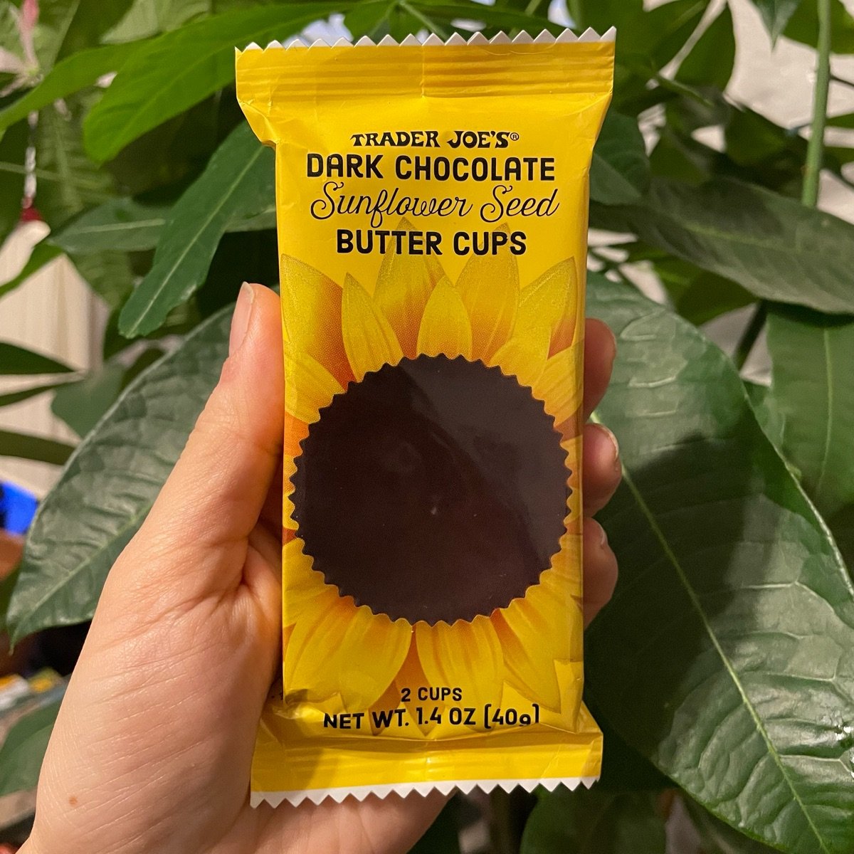 Dark Chocolate Sunflower Seed Butter Cups from Trader Joe's - Vegan ...