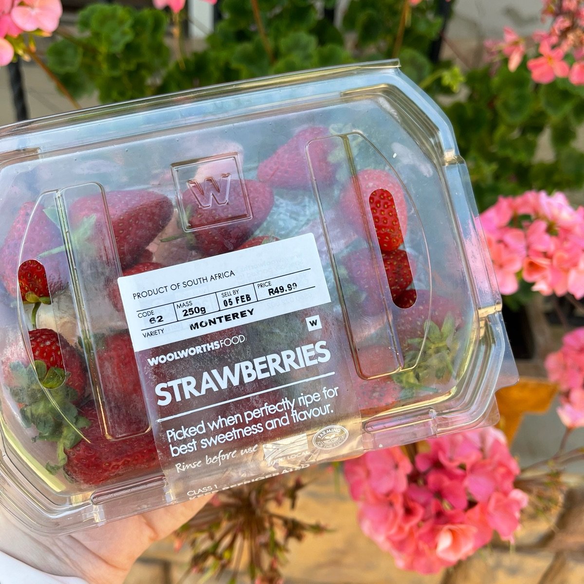 Strawberries from Woolworths Food - Vegan Product Reviews & Ratings ...