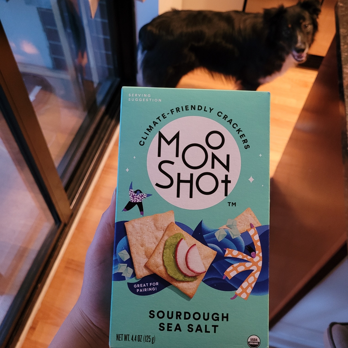Moonshot Snacks Sourdough Sea Salt Reviews | abillion