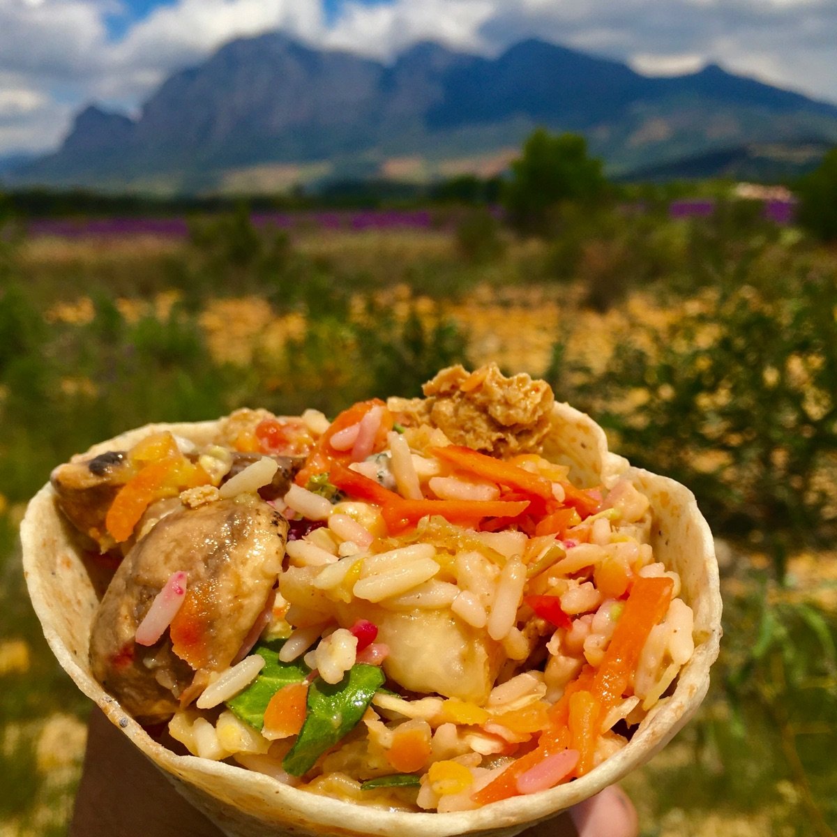 Bran and seed wraps from Freshline - Vegan Product Reviews & Ratings ...