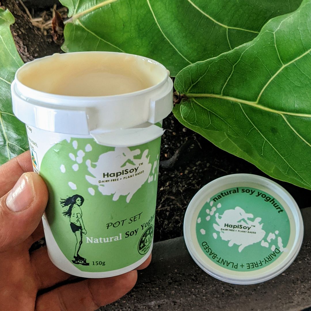 Natural Soy Yoghurt from Hapisoy - Vegan Product Reviews & Ratings ...